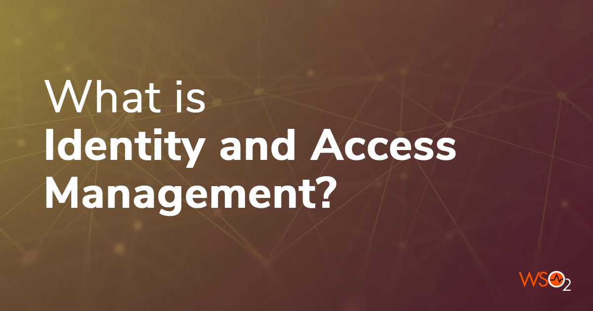 What is Identity and Access Management?